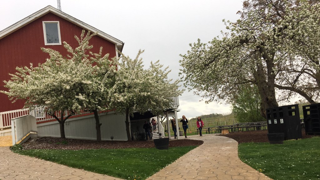 Michigan Brewery Series: Round Barn – The World According to Dev